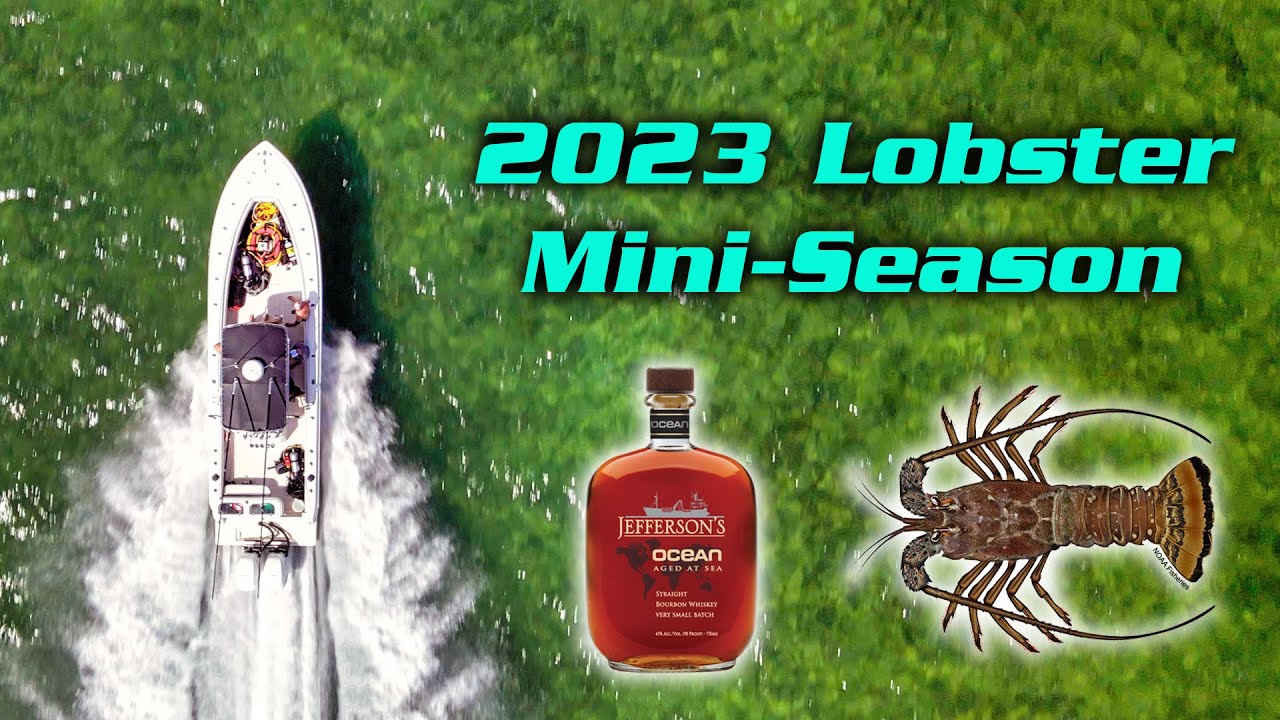 2023 Lobster Mini-Season: Snatching Bugs and Dodging Storms - YouTube