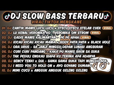 DJ TIKTOK TERBARU 2026🎵DJ CANTIK MANIS LUCU LUCU x STECU STECU🎵DJ VERONIKA - LU KENAL VERONIKA KO
