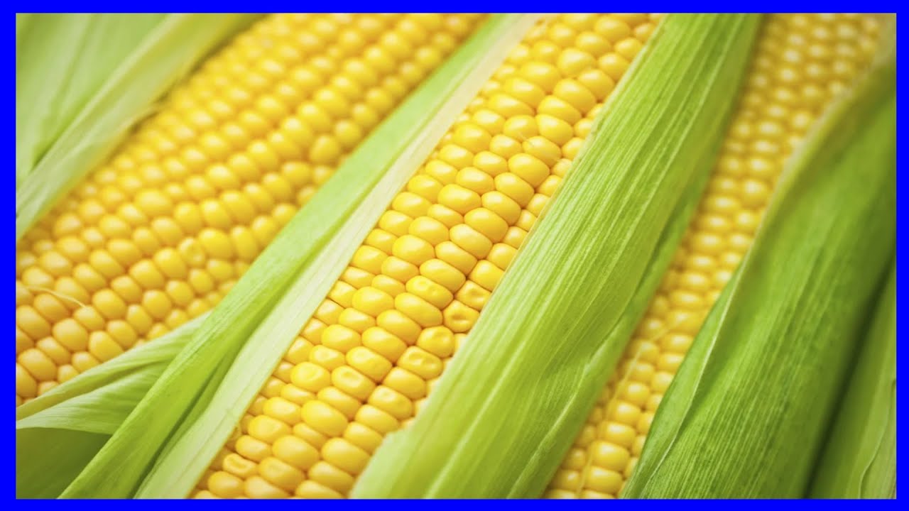 I HATE Corn... - YouTube
