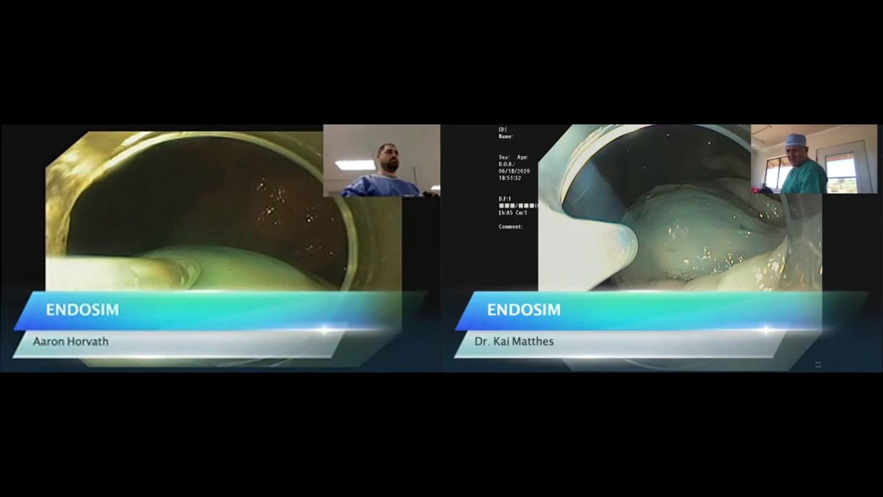 ENDOSIM Virtual Hands-on Training - YouTube