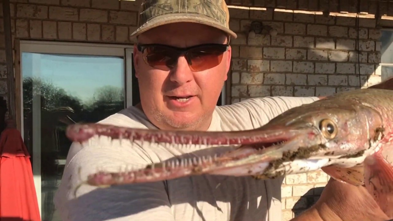 Easy clean of Alligator Gar - YouTube