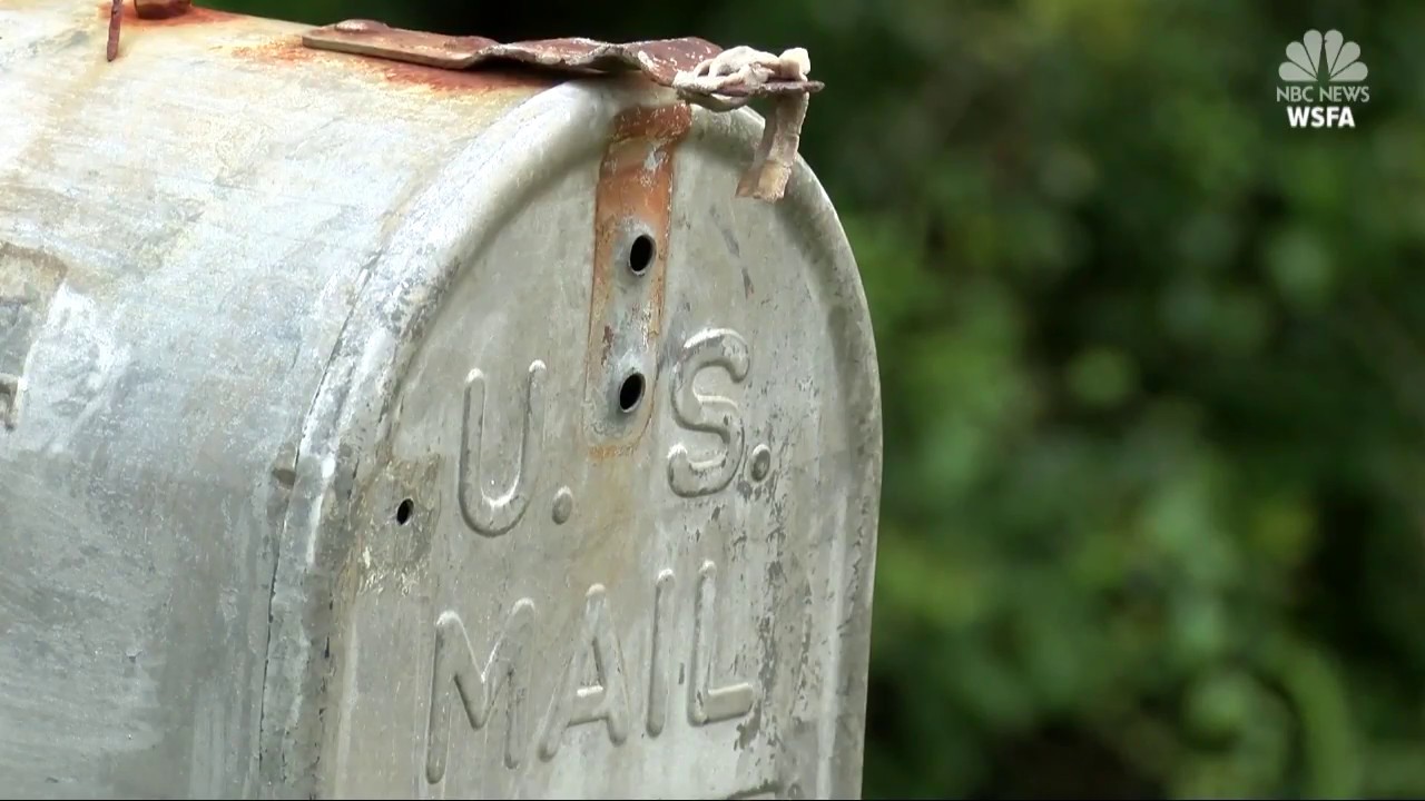 Cat dead in mailbox prank - YouTube