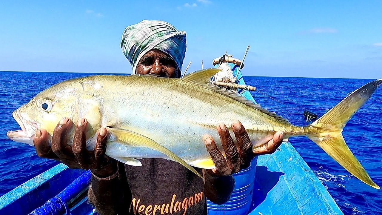 Catching Barracuda Fish, Blacktip Trevally & Giant Trevally Fish in the Deep Sea - YouTube