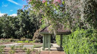 Why You Should Tour Leu Gardens in Winter Park