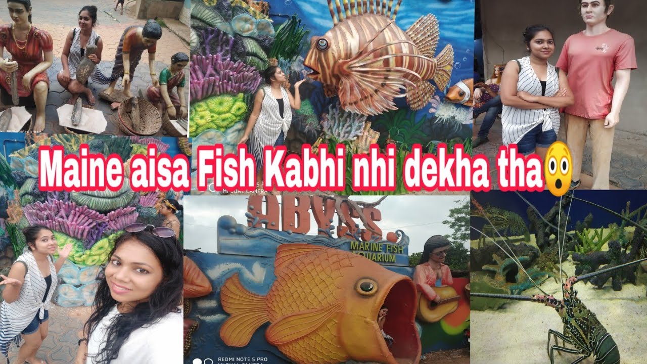 Abyss Marine Fish Aquarium Tour😉/vlog/🐟🐚🐙🐳🐡in Goa... - YouTube