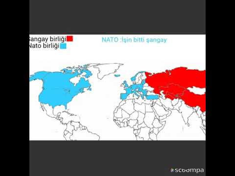NATO VS ŞANGHAY 1