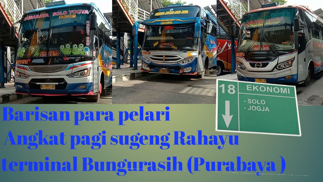 kumpulan video bus (sugeng Rahayu sumber selamat) terminal Bungurasih ...