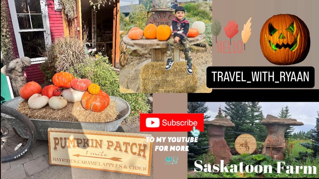 VISIT SASKATOON FARM |PUMPKINS |FALL SEASON|TRAVEL |VLOGS | - YouTube