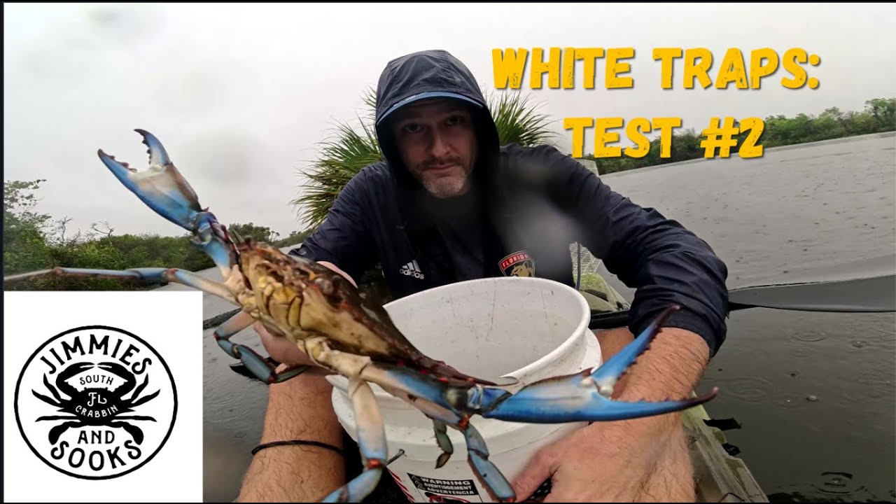DO WHITE TRAPS CATCH? JUMBO SOFT SHELL and HUGE Jimmies- White Trap ...