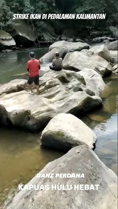 Momen Strike Ikan Mahseer di Pedalaman Kapuas Hulu 🔥🔥 #shorts #fishing #mancing #kapuashulu ...