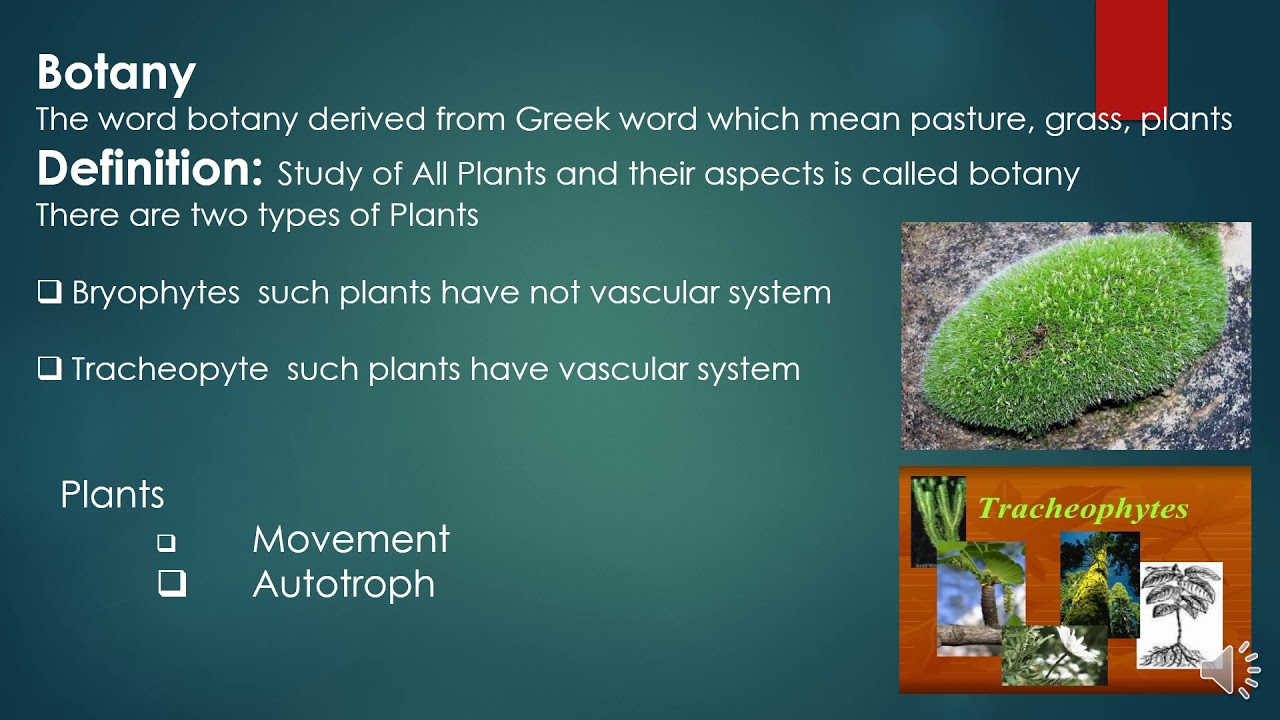 What Is Biology And Its Subdivision YouTube what-is-biology-and-its-subdivision-youtube
