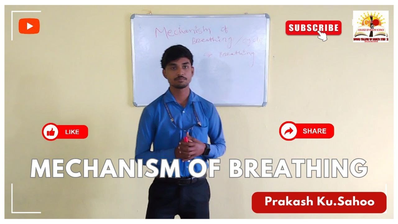 Mechanism of Breathing // Divine college of health science // Prakash kumar sahoo // Bhubaneswar ...