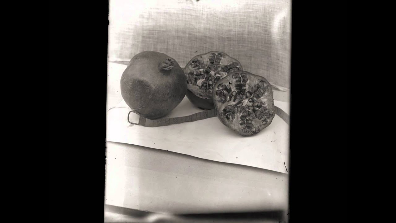 Through the Lens of L H Bailey - YouTube