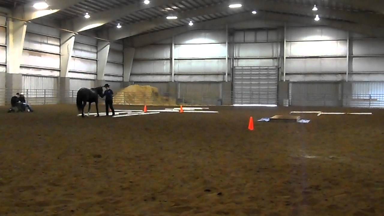 OHSET Meet 3 Apr 2013 Inhand Trail - YouTube