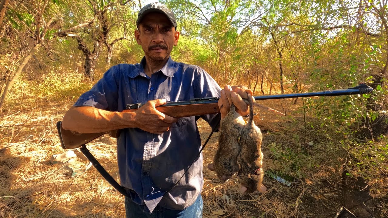 Caza y Cocina/ RATAS de monte Asadas/ - YouTube