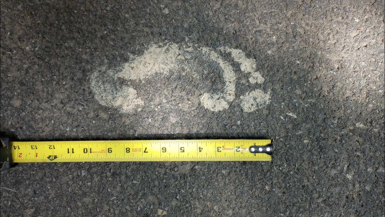 This is a look at and breakdown of what some think are Bigfoot tracks ...