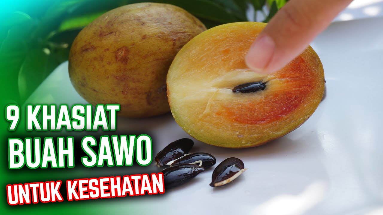 INI 9 MANFAAT BUAH SAWO YG JARANG DIKETAHUI - YouTube