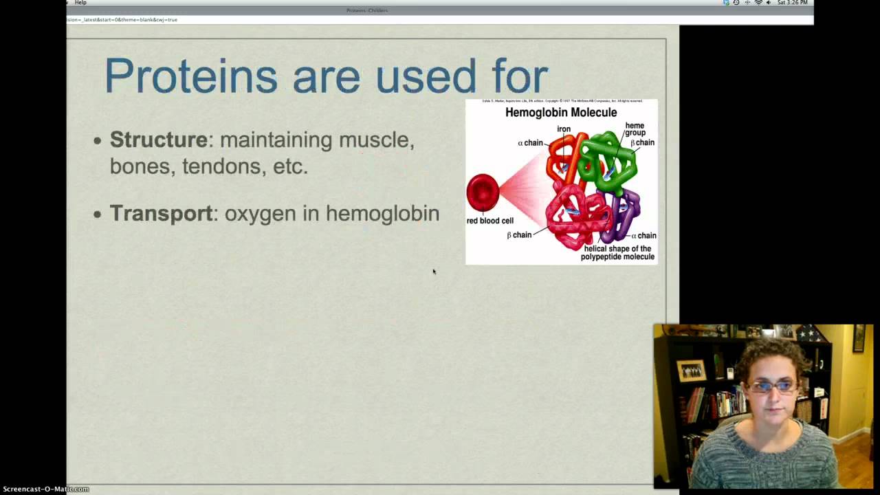 Protein Lecture - YouTube