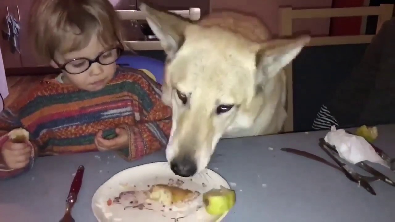 What time is it Mr. Wolf? It's dinner time! - YouTube