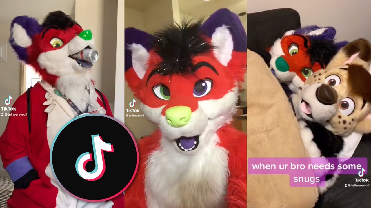 Majira Strawberry Furry TikTok Compilation // 2016 - 2022 - YouTube