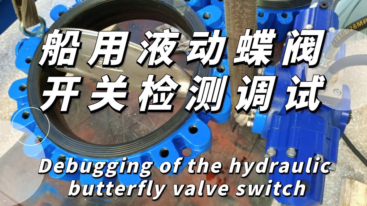 Hydraulic butterfly valve, switch and check whether the valve is ...