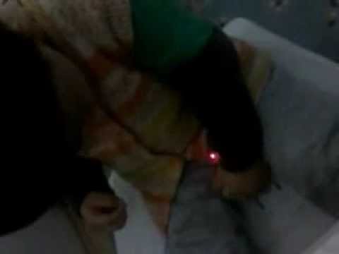 Bebek lazerle oynarsa izleeee ! :)