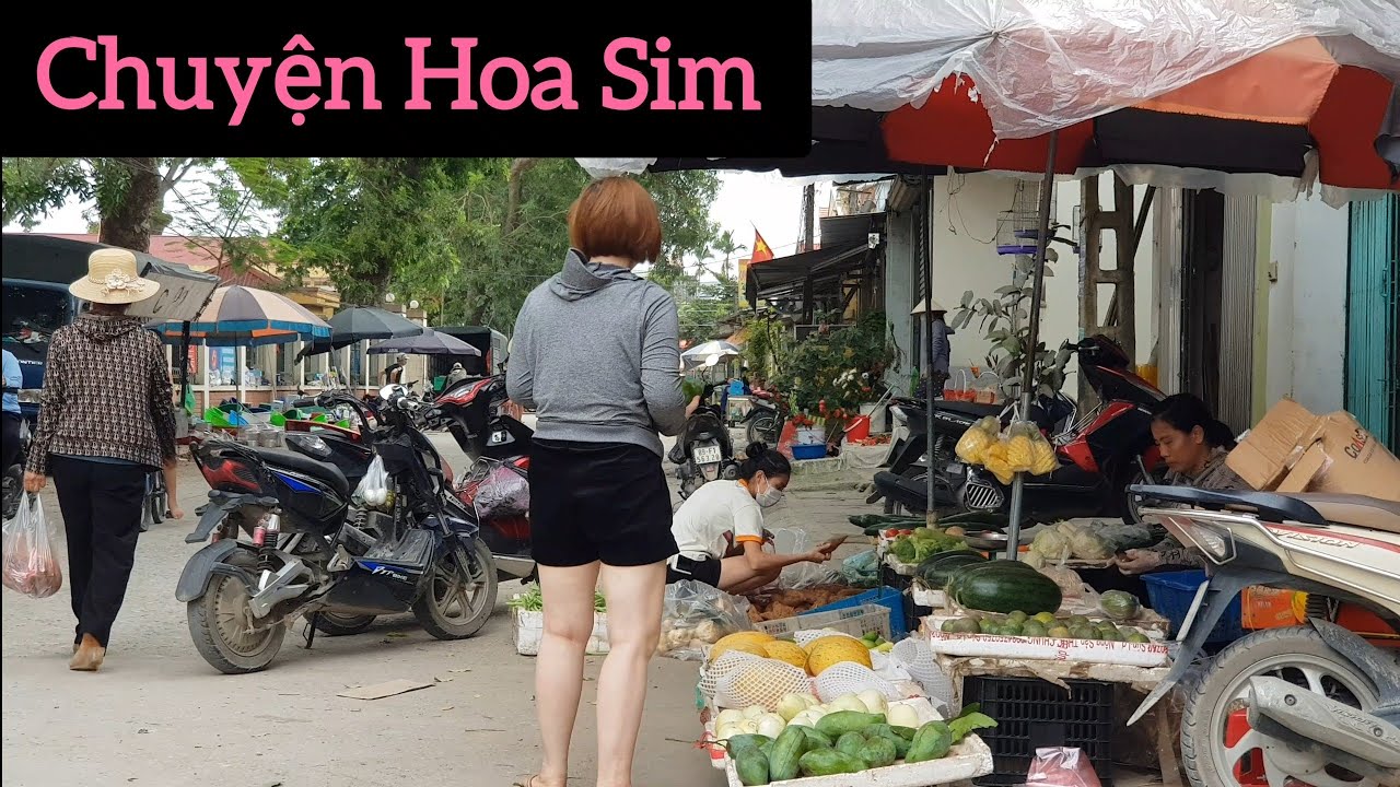 Chuyện Hoa Sim - Mai Tiến Đạt - YouTube