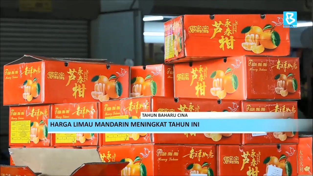 Tahun Baharu Cina : Harga limau mandarin meningkat tahun ini - YouTube