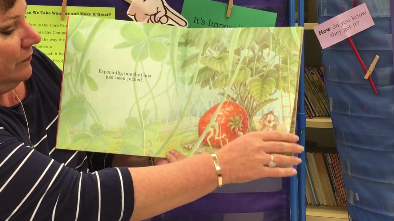 Mrs Cathcart Reads a Story - YouTube