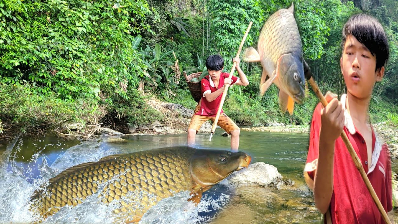 The boy caught fish in a primitive way and was lucky to catch super big ...