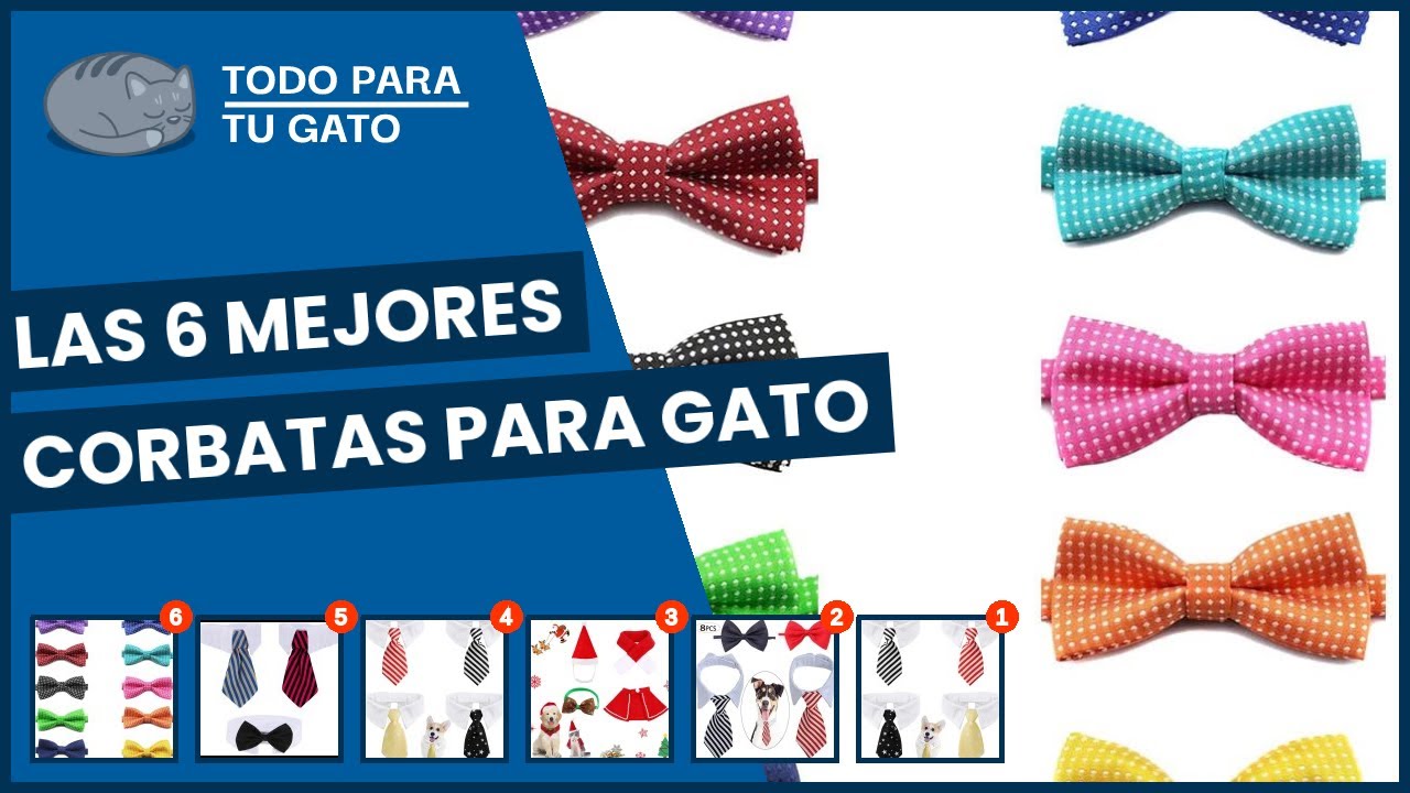 Las 6 mejores corbatas para gato - YouTube
