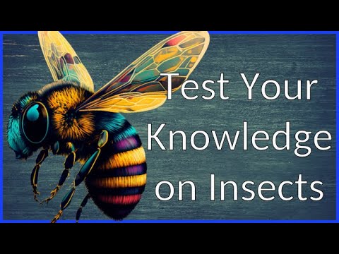 General Knowledge Insects Quiz? | Insect Trivia | - YouTube
