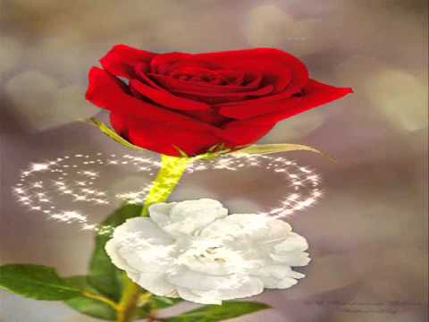 İbrahim Tatlıses Mahmut Tuncer bileydim