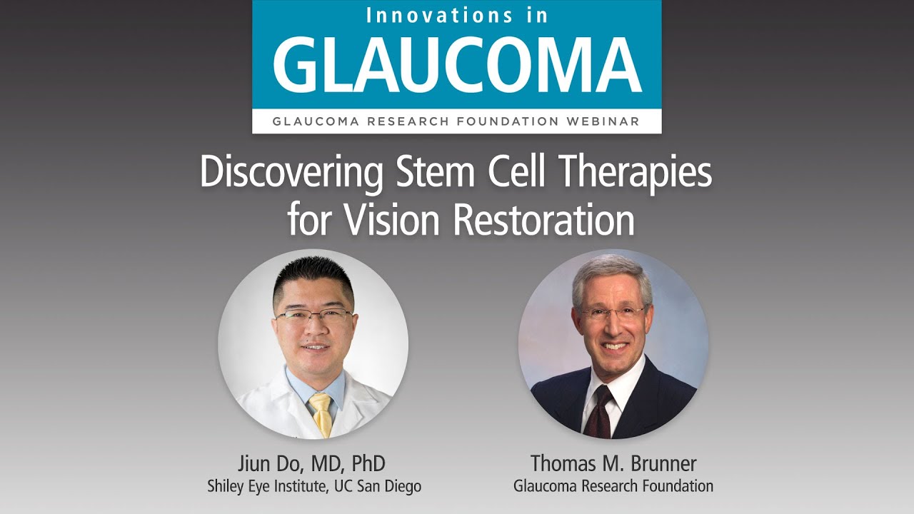 Discovering Stem Cell Therapies for Vision Restoration (Webinar) - YouTube