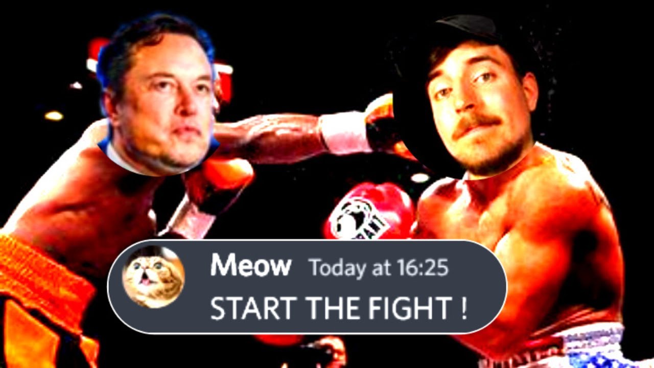 Mr Beast Vs Elon Musk (intense fight) - YouTube