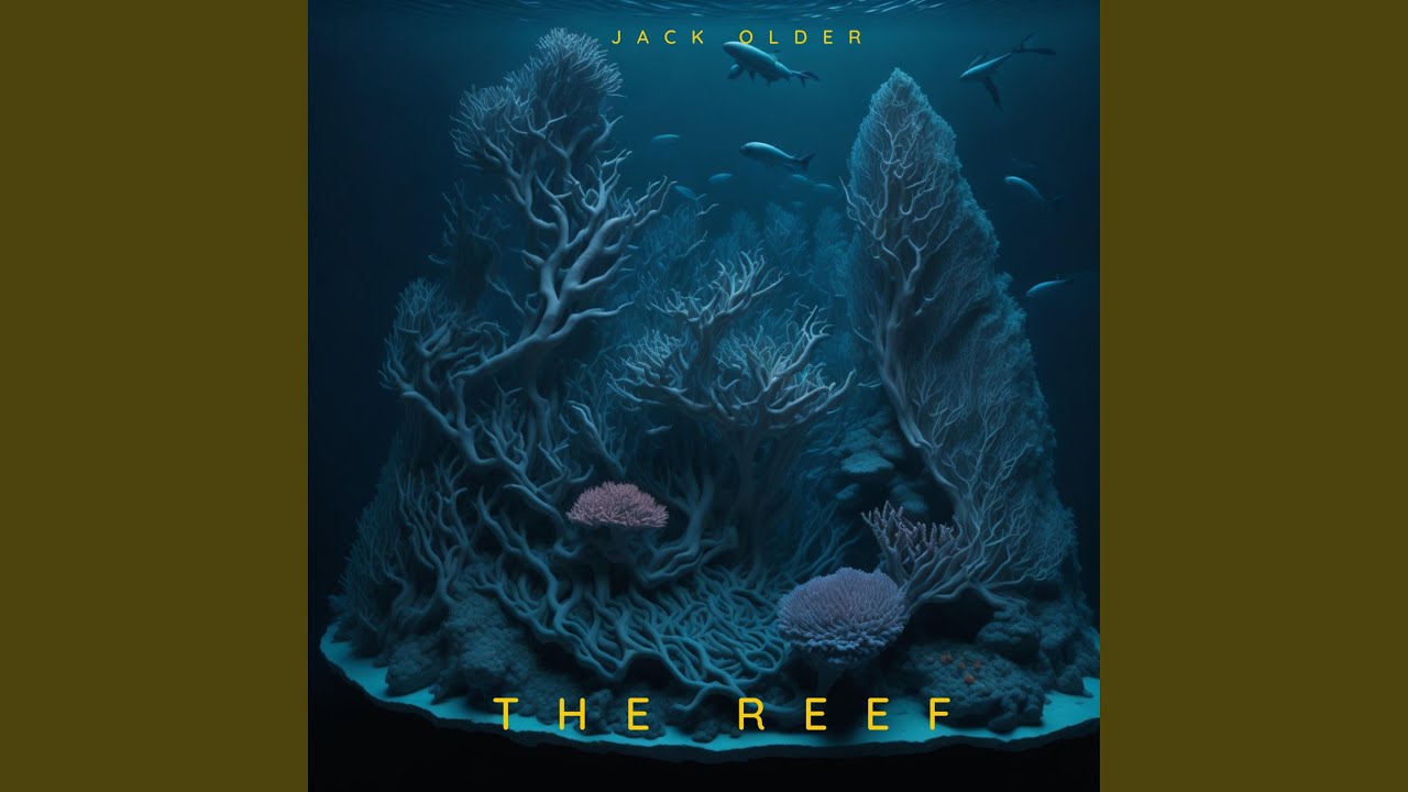 The Reef - YouTube