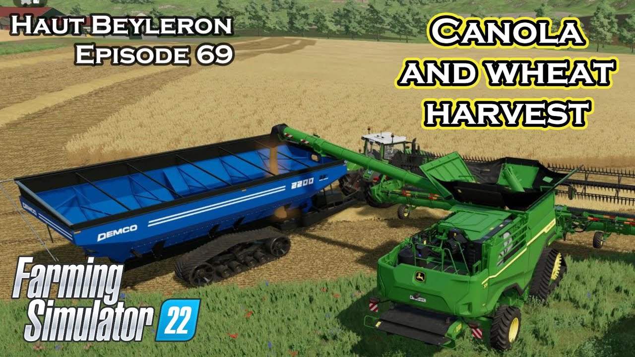 HARVESTING OUR WHEAT AND CANOLA FIELD - FS22 - Haut Beyleron - Let's ...
