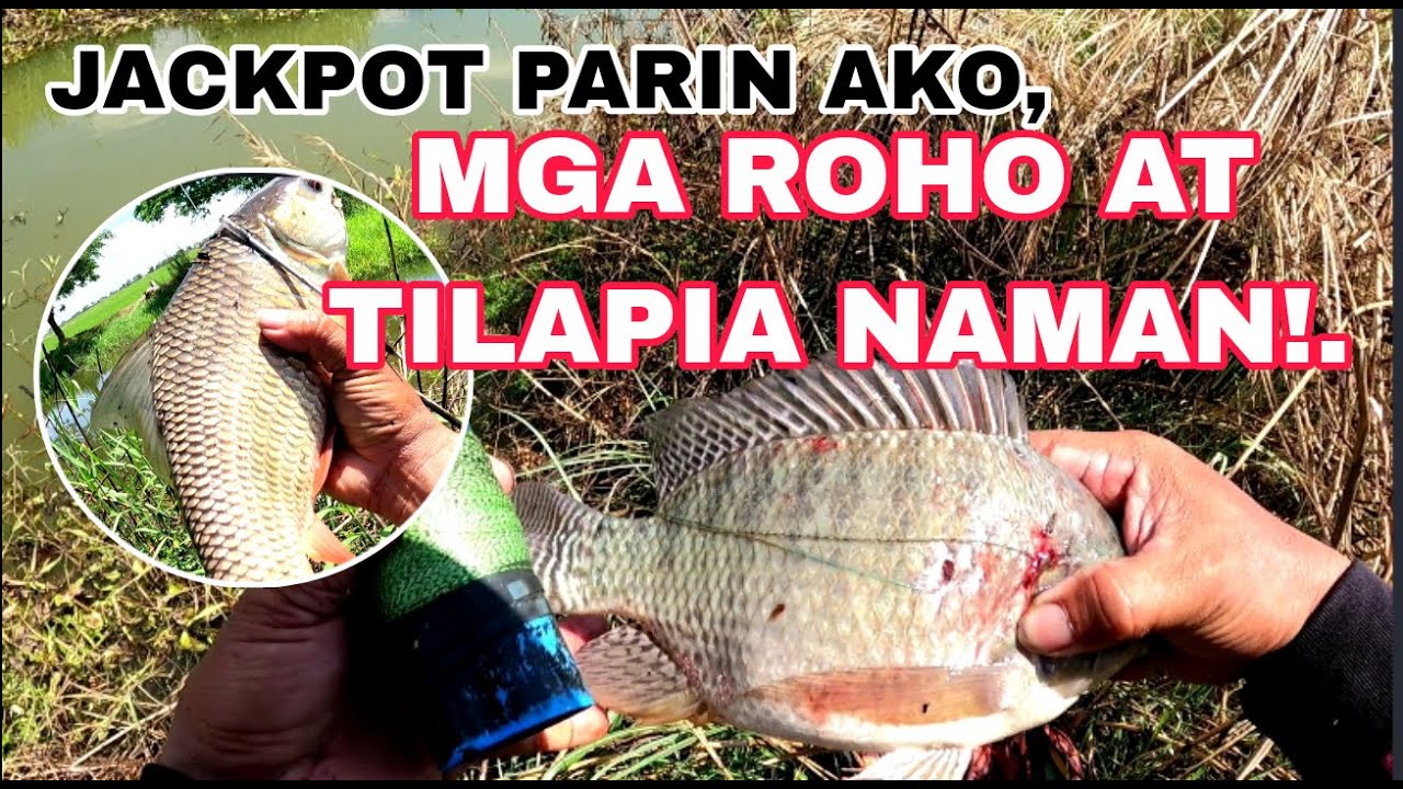 NAPALABAN AKUNG MULI SA MULI KUNG PAGBABALIK SA SPOT NA TO /Airgun ...