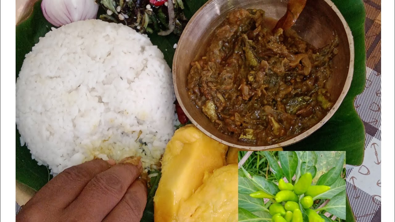 মাছৰ সৈতে কলা কচু recipe,লগত বতৰৰ ফল আম............. assamese video ## ...