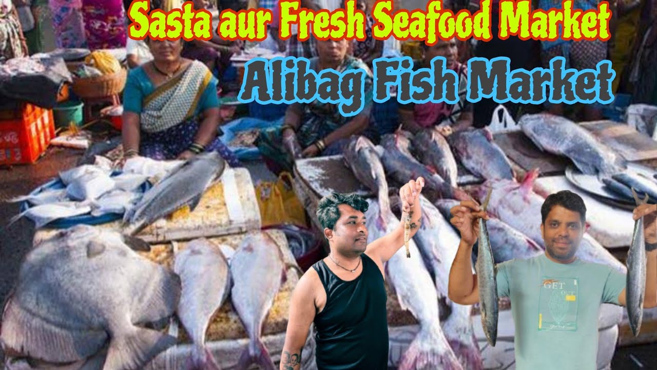 Behind the Scenes of Alibag's Vibrant Fish Market: Must-See Seafood ...