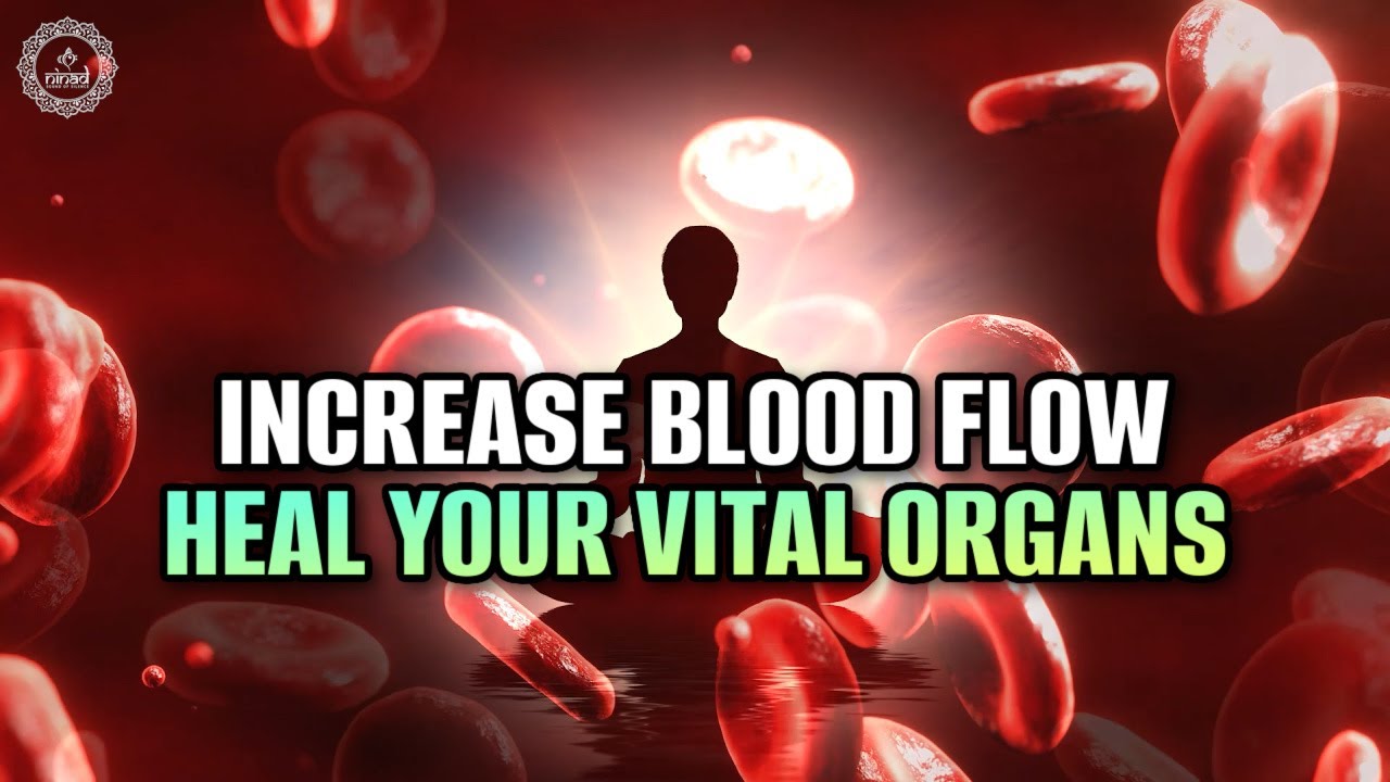 Increase Blood Flow | Enhance Circulation To Entire Body | Heal Your ...