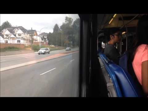 Translink 1998 D60LF - S8001 (Pilot Bus for the D60LF) - YouTube