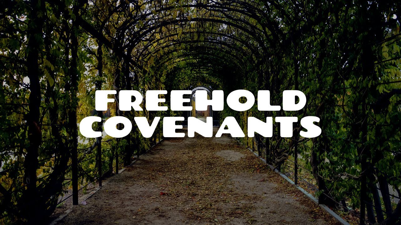 Introduction To Freehold Covenants Part 1 Land Law Youtube