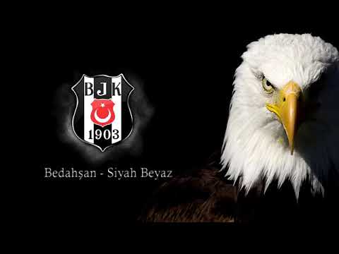 Siyah Beyaz bize her yer Beşiktaş.