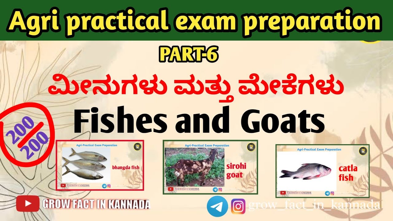 Part-6 fish and goats | ಮೀನುಗಳು ಮತ್ತು ಮೇಕೆಗಳು |practical exam ...