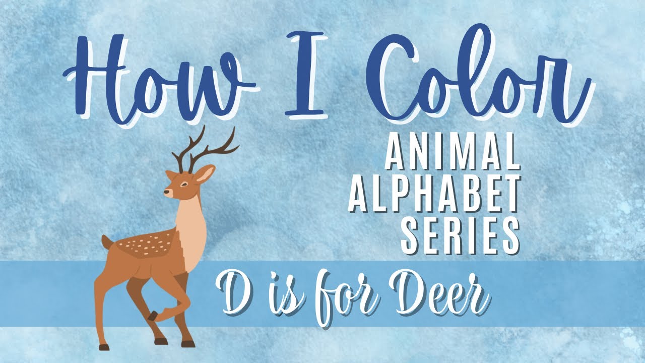 How I Color Animal Alphabet - D is for Deer - YouTube