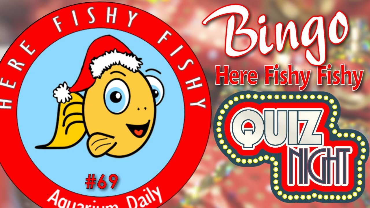 Here Fishy Fishy Christmas Show - Quiz, Bingo & Fun - Live Ep69 - YouTube