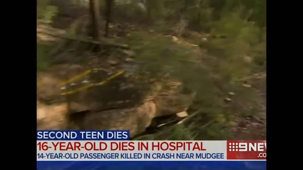 Second teen dies after car hits wombat on NSW road Copy - YouTube
