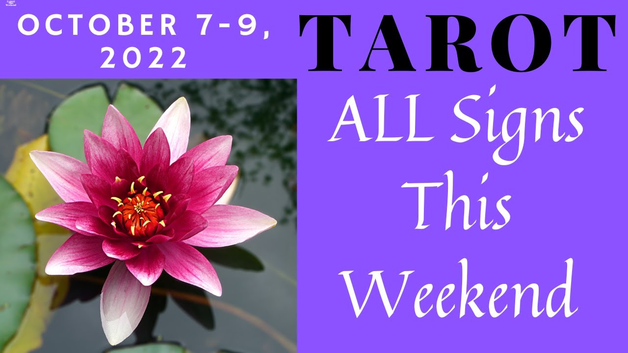 Weekend October 8, 2022 ; All Signs; Birth Of New & New & New! - YouTube