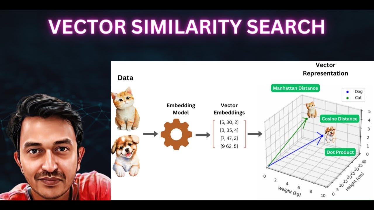 How Vector Similarity Search Works? - YouTube
